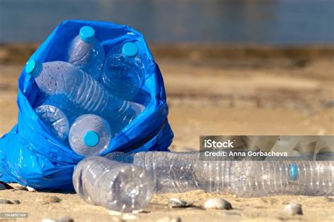 해변에서 수집 된 쓰레기와 함께 비닐 봉지 청소 및 재활용 개념입니다 바다에 대한 스톡 사진 및 기타 이미지 바다 수집 플라스틱 Istock