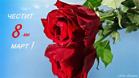 Поздравителен адрес по повод Деня на жената от кмета Иван Гавалюгов