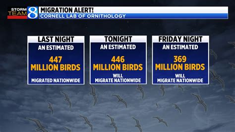 How To Help The Mass Bird Migration In Michigan Tonight