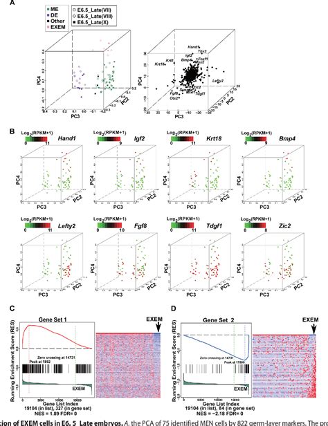 Figure From Single Cell Analysis Reveals Lineage Segregation In Early Post Implantation Mouse