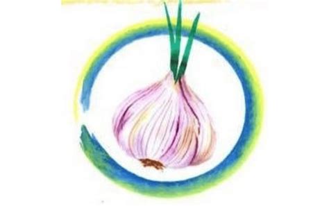 Knobi Farm Das Original Seit 1963