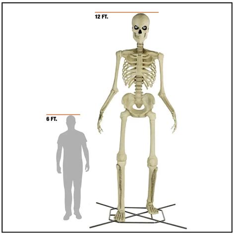 12ft Giant Skeleton Animated Prop Pre Order Mad About Horror
