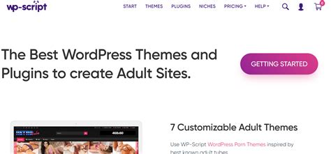 The Best Adult Tube Scripts According To Experts