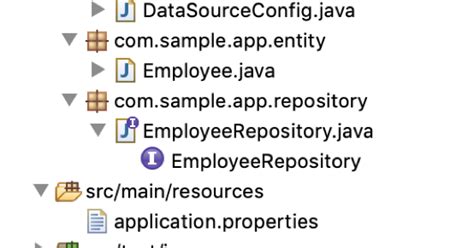 Programming For Beginners Spring Boot Configure Data Source