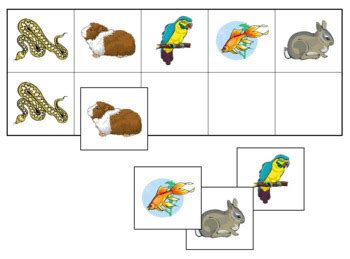 Pets Match Up And Memory Game Visual Discrimination Recall Skills