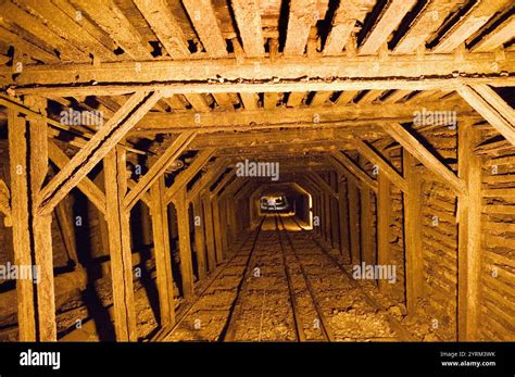 Interior Of A Gold Mine In Empire Mine State Historic Park Grass