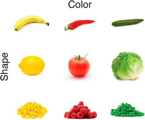 Human V4 Activity Patterns Predict Behavioral Performance In Imagery Of Object Color Journal