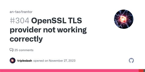 Openssl Tls Provider Not Working Correctly · Issue 304 · An Tao