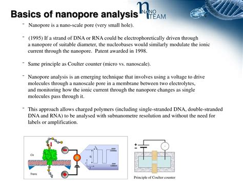 Ppt Název Powerpoint Presentation Free Download Id9400419