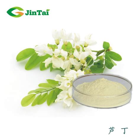 天然槐花提取物 天然植物提取物 陕西锦泰生物工程有限公司