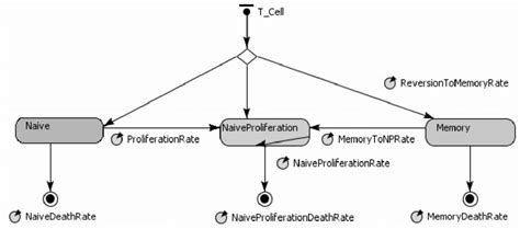 The Naive T Cell Agent Download Scientific Diagram