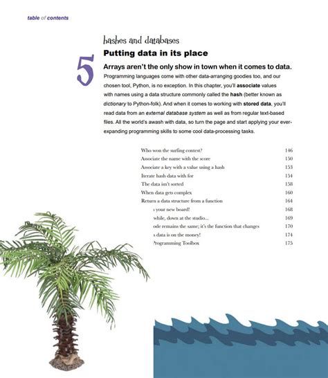 Head First Programming A Learners Guide To Programming Using The Python Language Etsy