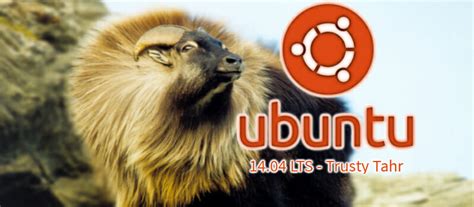 Personaliza Ubuntu 1404 Con Unity Tweak Tool