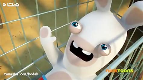 انیمیشن خرگوش های بازیگوش خرگوش قهرمان