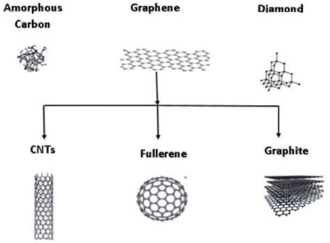 Representation Of Carbon Allotropes Download Scientific Diagram