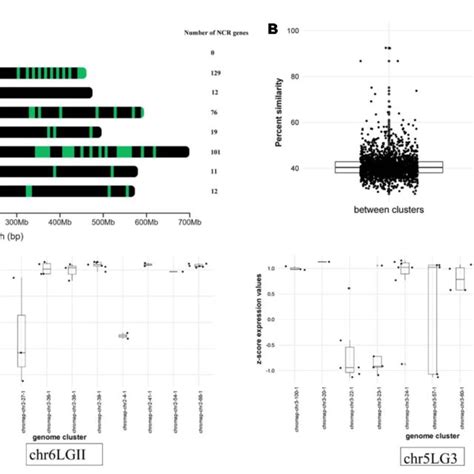 A Localization Of NCR Genes In P Sativum Genome Green Dashes Download Scientific Diagram