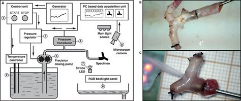 A A Block Diagram Of A Working Area Following The Activation 1 Download Scientific