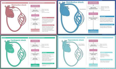 Hypovolemic Shock Pathophysiology