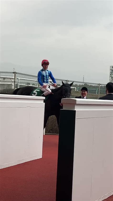 Yurie On Twitter Rt Tospokeiba 京都牝馬s は ララクリスティーヌ おめでとうございます🎉