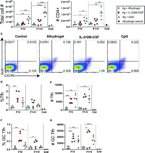 T Follicular Helper Cell Responses 7 Days Post Immunization Analysis Download Scientific