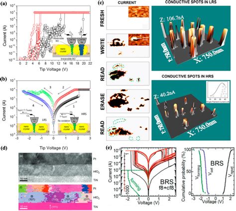 Role Of Oxygen Vacancies In Ferroelectric Or Resistive Switching Hafnium Oxide Pmc