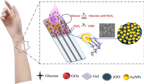 Schematic Illustration Of The Construction Of A Glucose Biosensor And