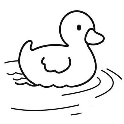 鸭子的简笔画步骤及教学设计 简笔画图片大全 普车都