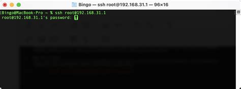 Ipv6 Public Network Ip Acquisition Done