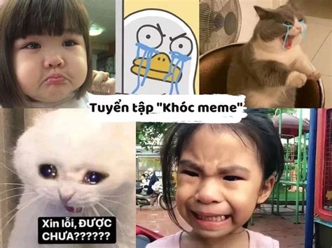 Meme Vừa Khóc Vừa Cười Nâng Cao Cảm Xúc Và Tiếng Cười 2025