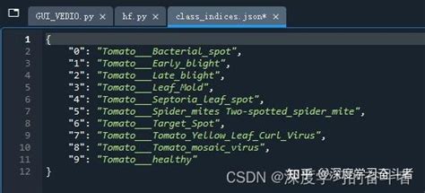 基于并行网络的农业病害识别，（以番茄叶为例，python代码，pytorch框架，平均识别准确率在95以上，以代码项目为基础写了一篇毕业设计
