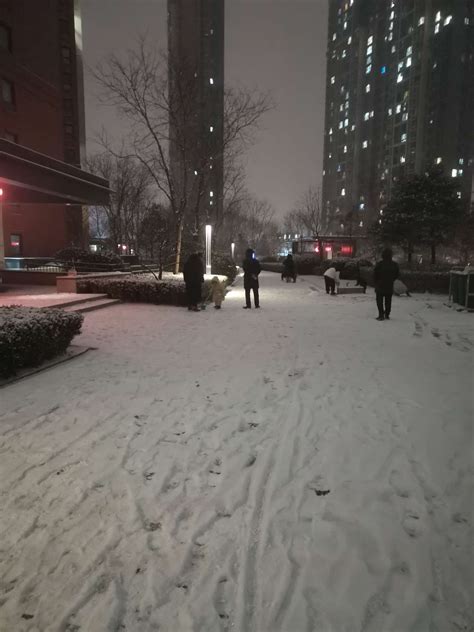 北京的雪 京能热力 002893 股吧 东方财富网股吧