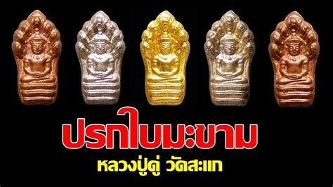 ส่องไปด้วยกัน Ep 24 พระนาคปรกใบมะขามปี 2531 หลวงปู่ดู่ วัดสะแก Youtube