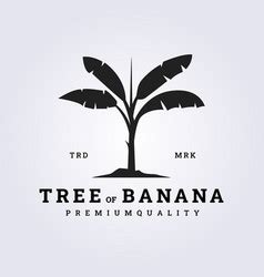 Simple Line Banana Leaves Logo Royalty Free Vector Image