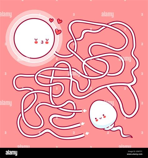 Sperm Cell Animation