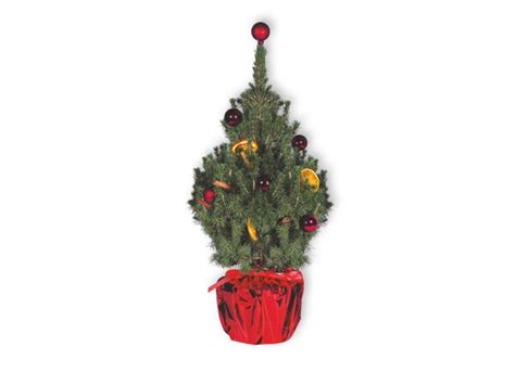 Decorated Christmas Tree Lidl Northern Ireland Specials Archive