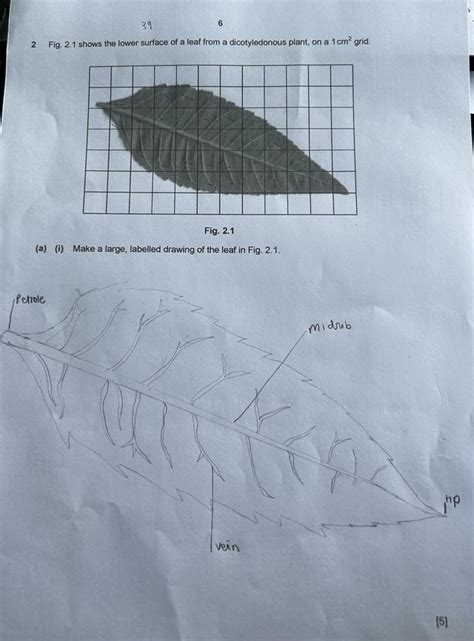 Biology Paper 6 How Much Will I Get For This R Igcse