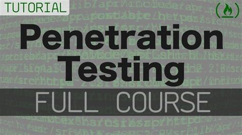 Freecodecamp On Linkedin An Introduction To Web App Penetration