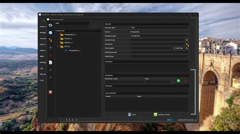 Setting Up A Connection To The Postgresql Dbms Cerebrosql