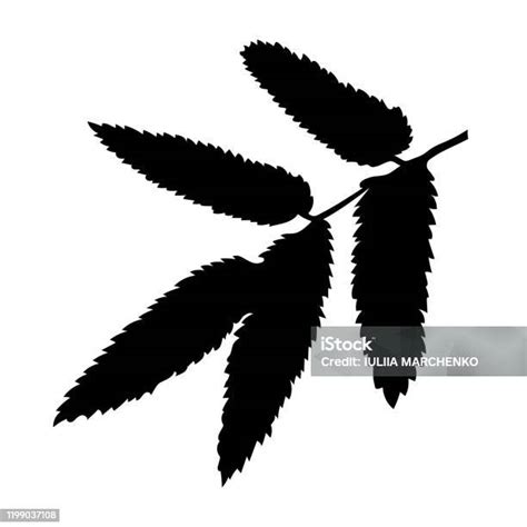 장식 디자인에 대한 흰색 배경에 검은 열대 잎 잎 아이콘입니다 야자수 실루엣 벡터 실루엣 그림이 격리되었습니다 이국적인 정글 벽지 벡터 일러스트 자연 배경입니다 0명에 대한