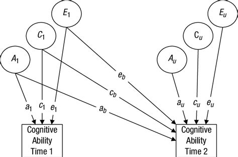 Longitudinal Behavioral Genetic Cholesky Decomposition For One Member