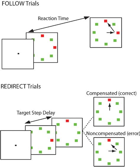 Figure 1 From Frontal Subcortical Circuits Involved In Reactive Control
