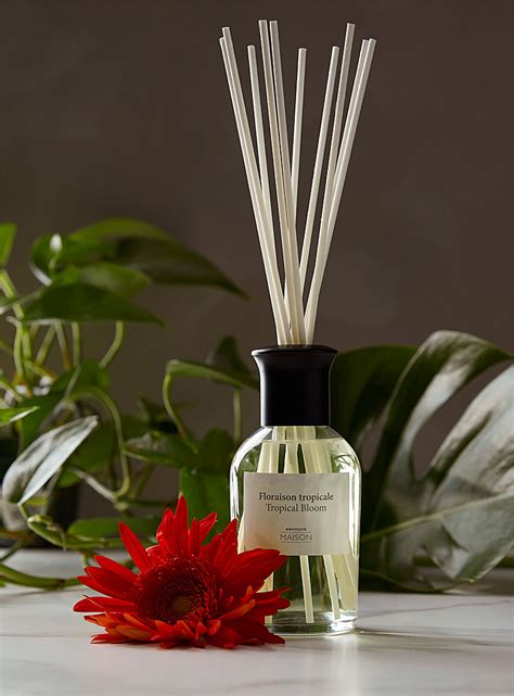 Diffusers And Home Fragrances Simons Maison