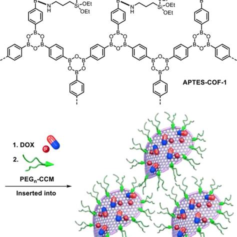 The Scheme Illustration Of The Preparation Of Doxorubicin Dox ‐loaded Download Scientific