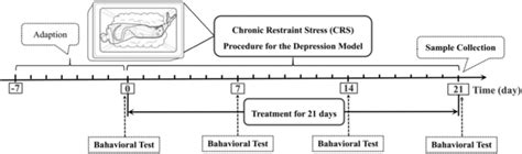 针灸通过调节慢性束缚应激大鼠 Tlr4 信号通路介导的神经炎症来改善抑郁样行为 Molecular Neurobiology X Mol