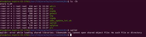Database Oracle Instant Client Sqlloader Tool Doesnt Start Because