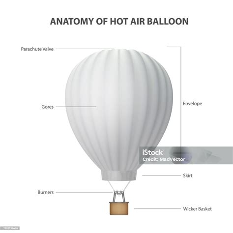 Анатомия Воздушного Шара Изолированы На Белом Фоне Векторная Реалистичная Иллюстрация Шаблон