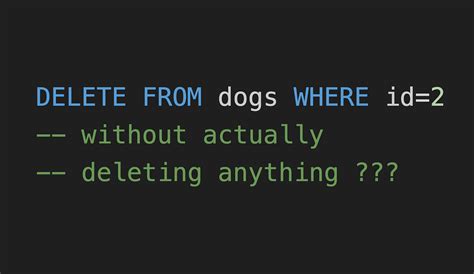 Virtual Environment And Package Management In Python By Gözde Madendere Barın Datadriveninvestor