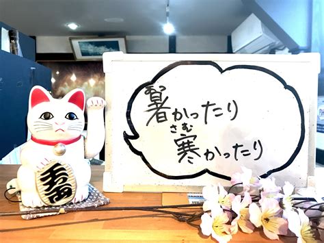 まねきねこおこめのさわた