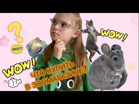 ЧТО КУПИТЬ В ЗООМАГАЗИНЕ ? - YouTube