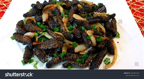 Mopane Worm South Africa